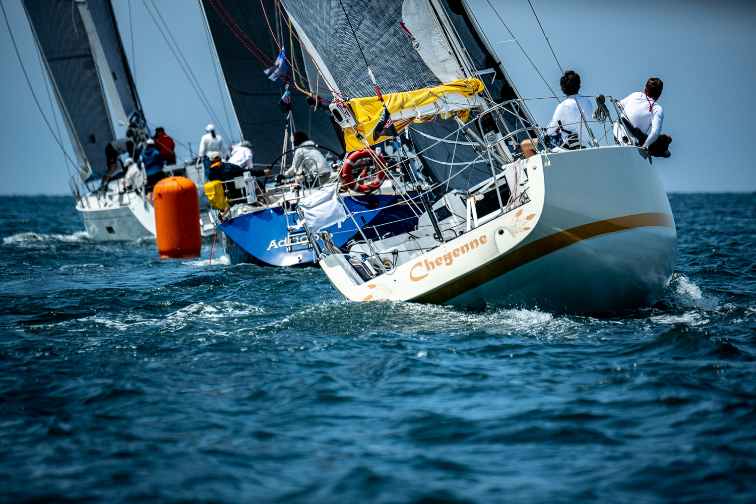On line le classifiche della 15.1 Sail - 151 Miglia Trofeo Cetilar